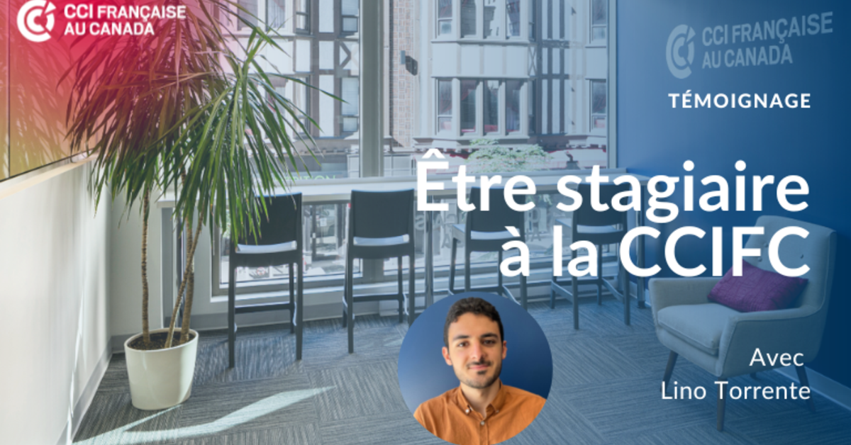 Témoignage - Être stagiaire à la CCIFC par Lino Torrente, Coordinateur ...