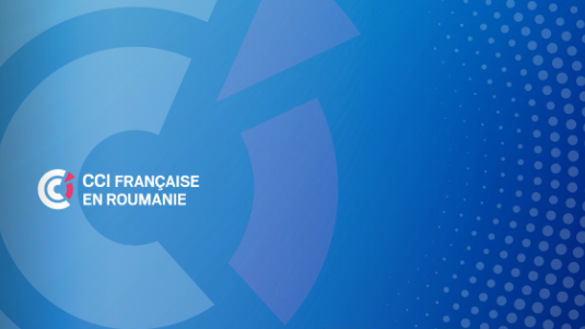 Rapport d'activité 2023 de la Roumanie | CCI France International