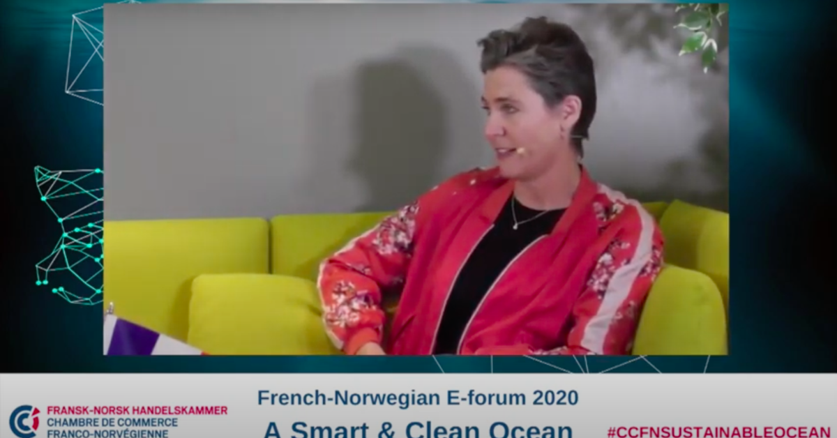 French Norwegian Days 2020: Heidi Neilson, Head of Environment at the ...