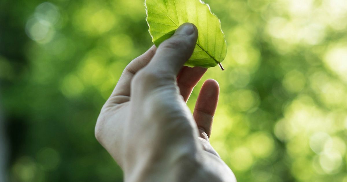 Fondation Solar Impulse : Redoubler d'efforts, Tripler l'impact ! 20 ...